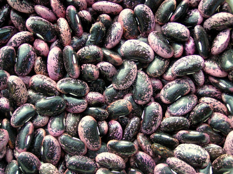 Bean texture stock photo. Image of fare, detail, abstract - 11536830