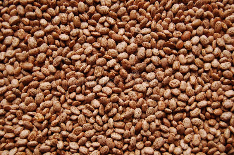 Bean texture stock image. Image of wallpaper, spotty, food - 2122599