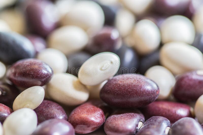Multi-colored Beans on a White Background. Red and White Beans in a ...
