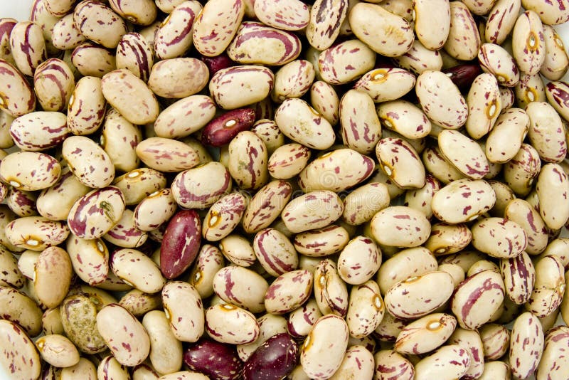 Beans 10 stock photo. Image of beans, natural, haricot - 7451876