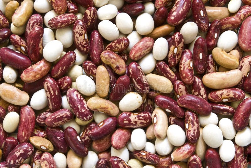 Beans stock image. Image of tall, bean, seeds, colored - 12968735