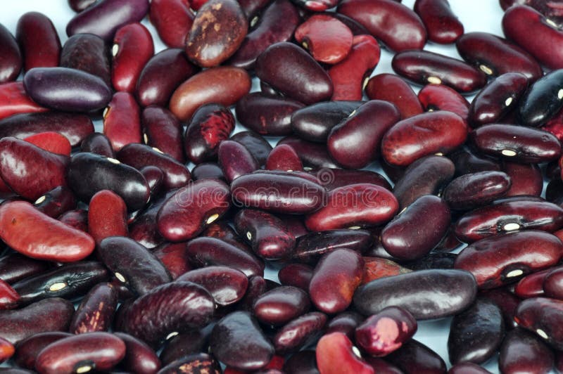 Beans stock photo. Image of grain, beans, detail, close - 13431418