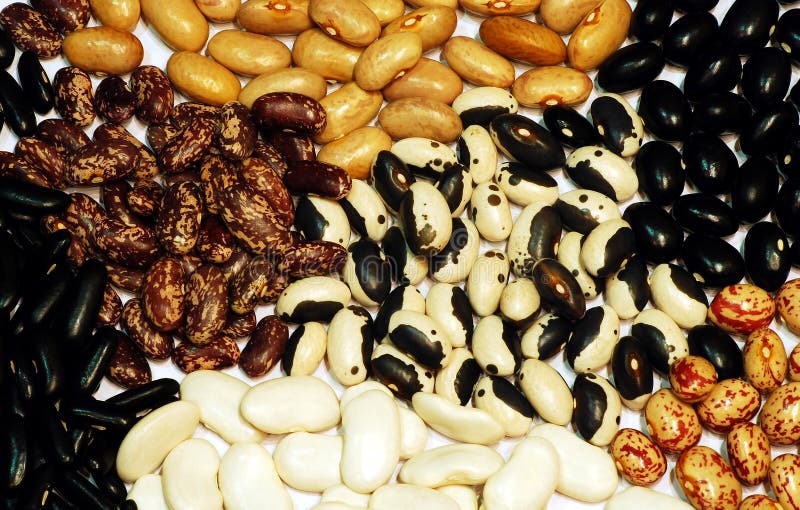 Beans stock photo. Image of beans, protein, meal, background - 13598822