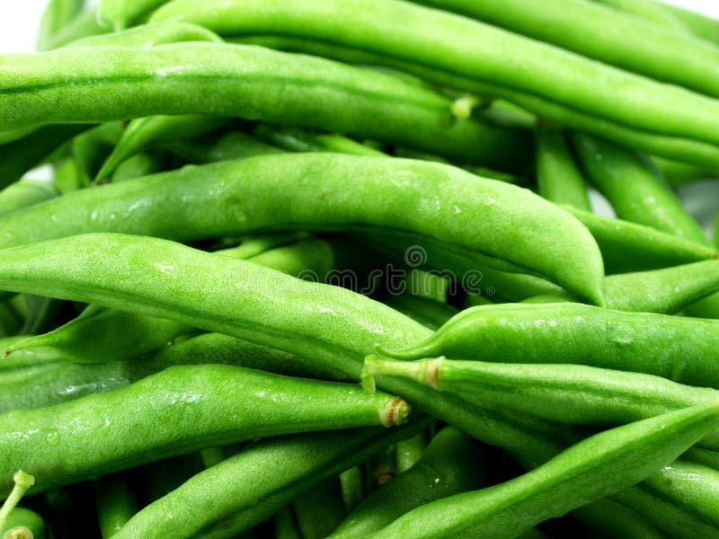 Beans stock image. Image of market, healthy, bean, health - 1369765