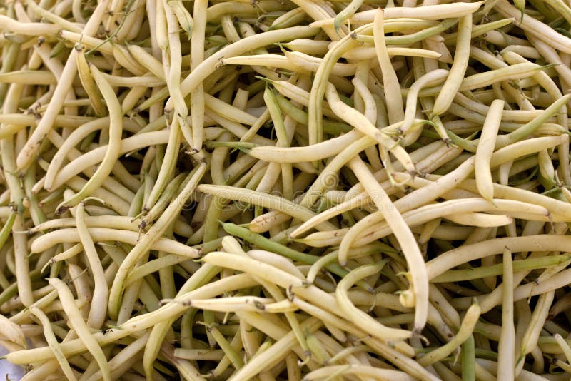 Beans Picture. Image: 15852302