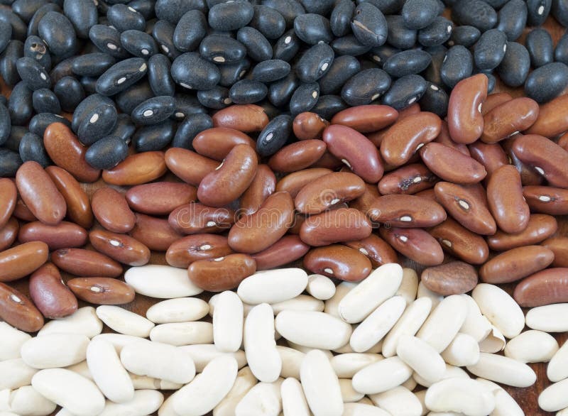 Beans stock photo. Image of natural, market, organic, plant - 472444