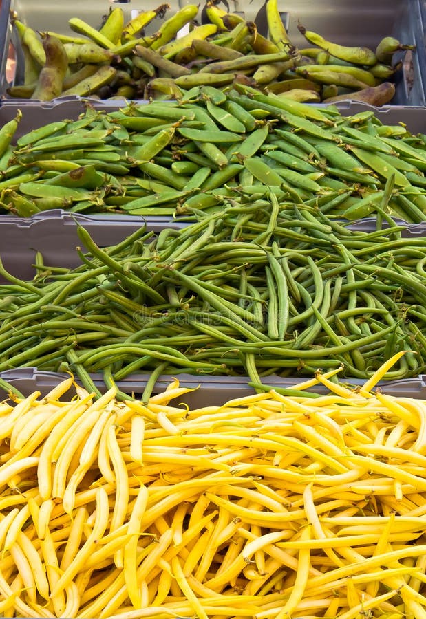 Green Beans stock photo. Image of green, outdoor, food - 44765862