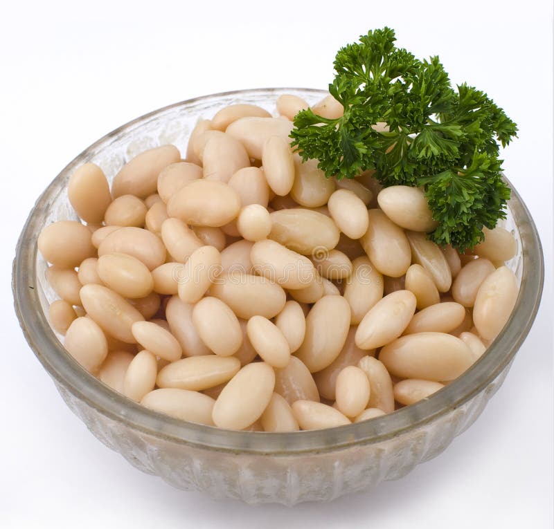 Bunch of Mandarin Oranges stock photo. Image of orange - 21745614