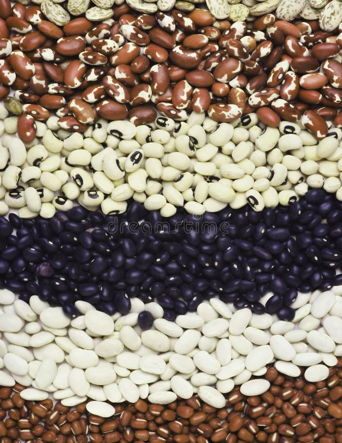 Beans background stock photo. Image of kidney, white - 17323694