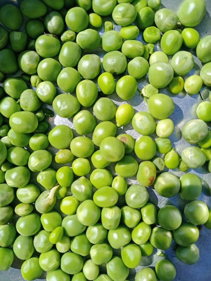 Beans, Beautiful Attractive Pic of Beans Stock Image - Image of food ...