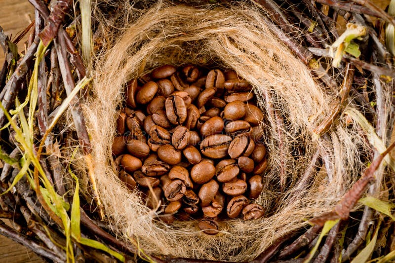 Beans of Black Coffee Lie in a Nest Made of Tree Twigs. Background for ...