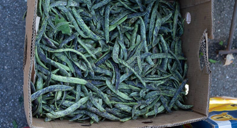 Beans in a box for sale stock photo. Image of healthy - 163890698