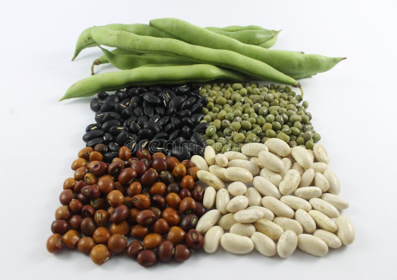 Beans in different colors stock photo. Image of natural - 38275346
