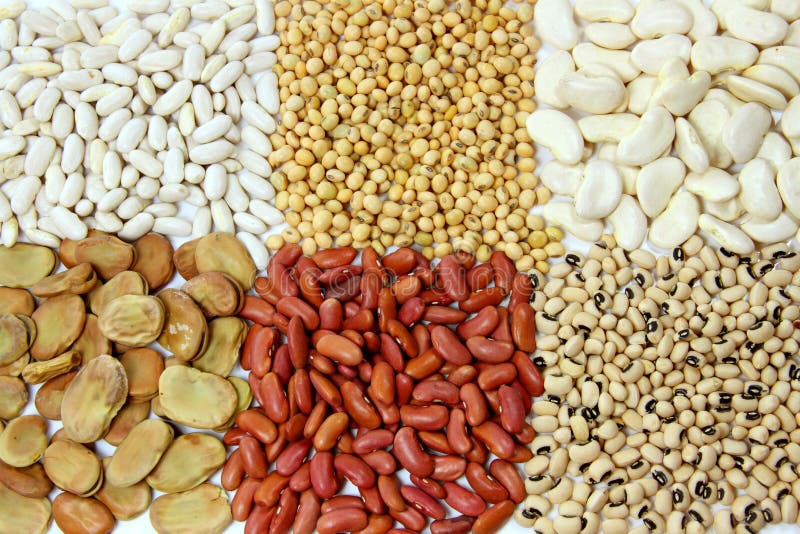 Various legumes stock photo. Image of white, beans, round - 16238648