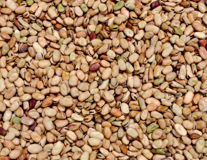 Beans and Grains stock image. Image of sack, basket, markets - 20419965