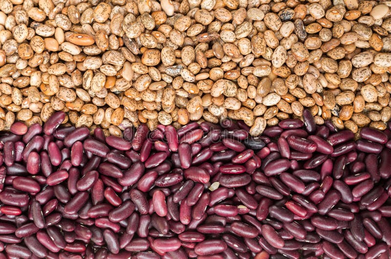 Beans stock photo. Image of beans, yellow, detail, nature - 48768006