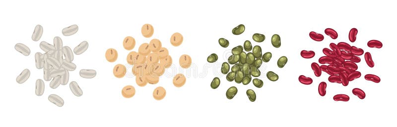 Beans Heap Bunch Set. Legumes Handful. Vector Illustration. Stock ...