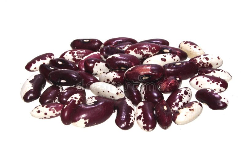 Beans Isolated on White Background Stock Image - Image of healthy ...