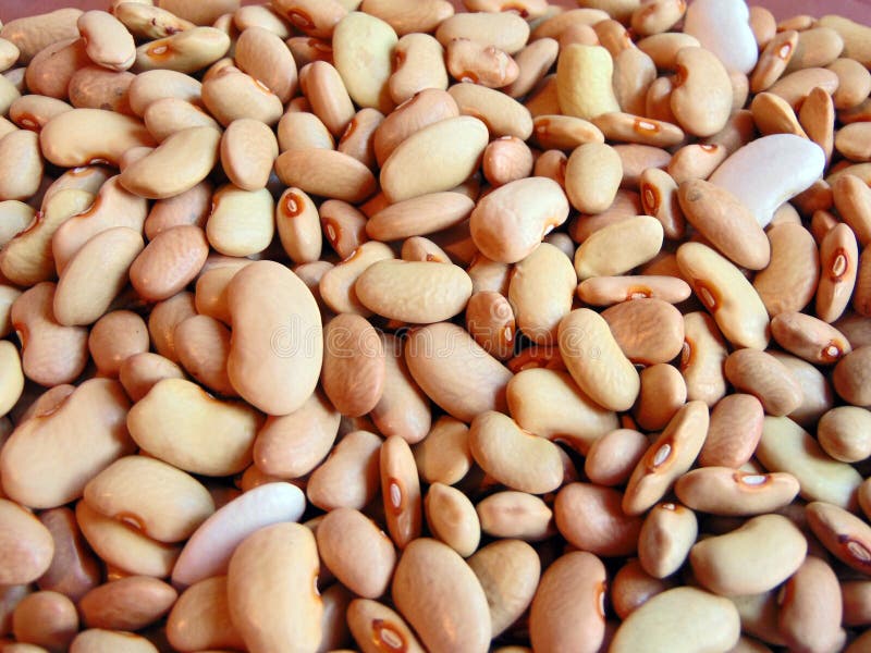 Group of Beans - Closeup View Stock Image - Image of boiled, 2021: ...