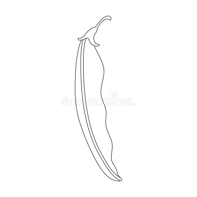 String Beans Outline Stock Illustrations – 82 String Beans Outline ...