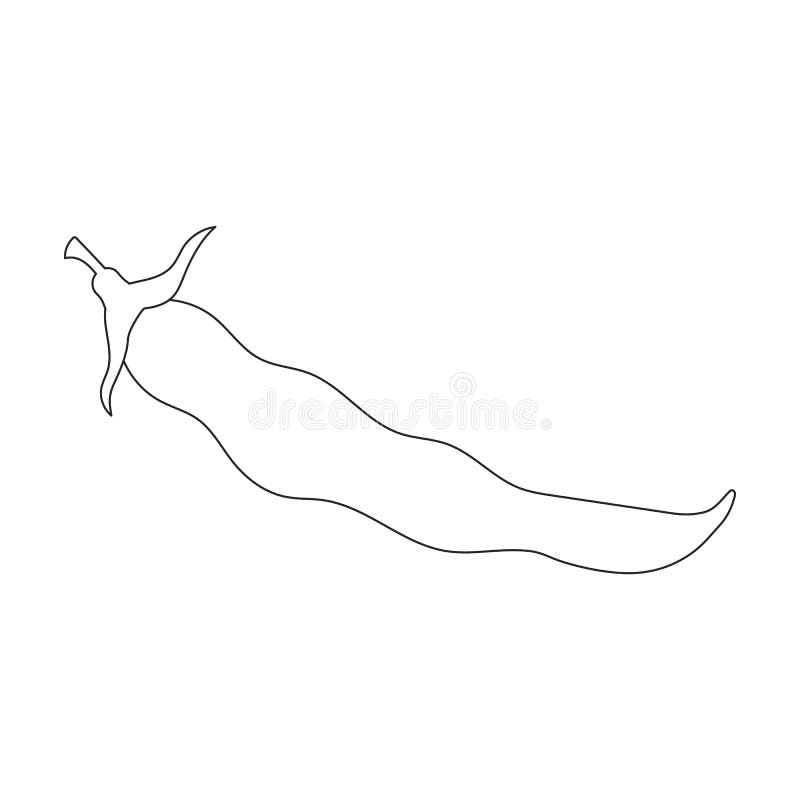 String Beans Outline Stock Illustrations – 82 String Beans Outline ...