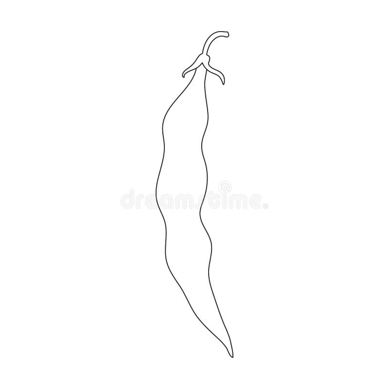 String Beans Outline Stock Illustrations – 82 String Beans Outline ...