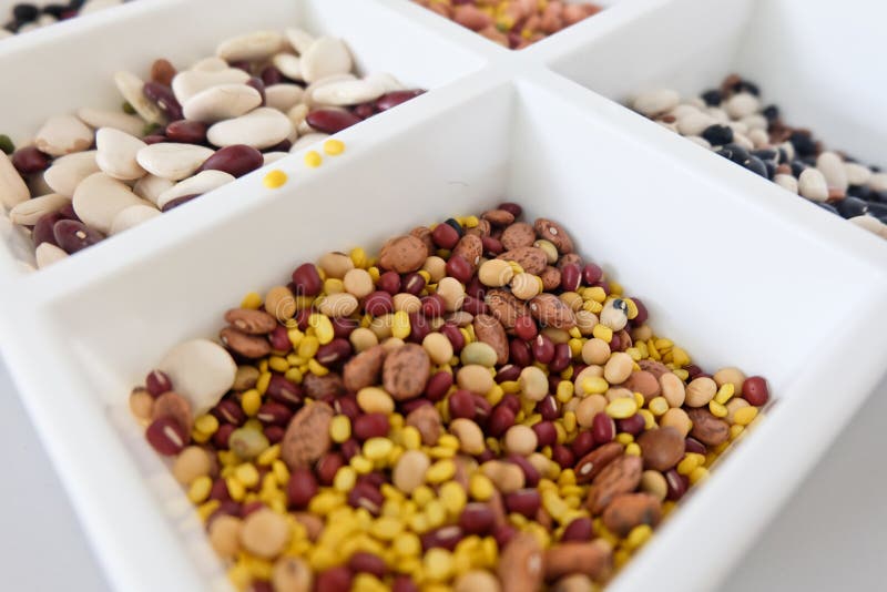 Beans stock photo. Image of ingredient, green, leguminous - 76593140