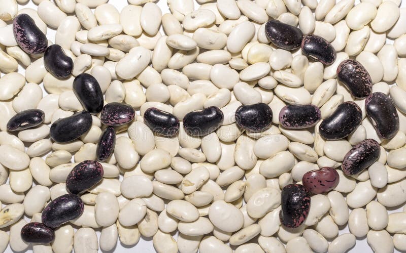 Bean arrow stock image. Image of direction, shape, white - 34295389