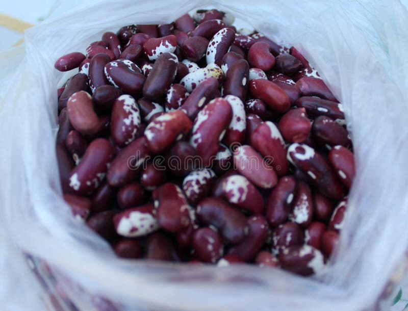 Beans stock photo. Image of agriculturel, vegetable, natura - 94083562