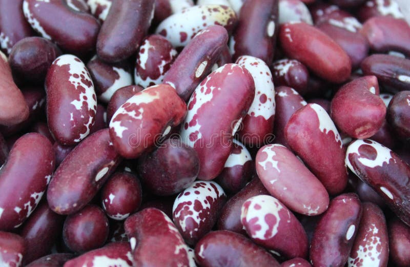 Beans stock photo. Image of vegetables, cooking, beans - 94085742