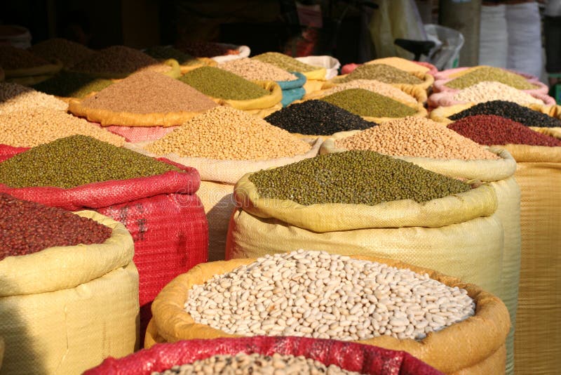 Beans and spices stock photo. Image of products, green - 499302