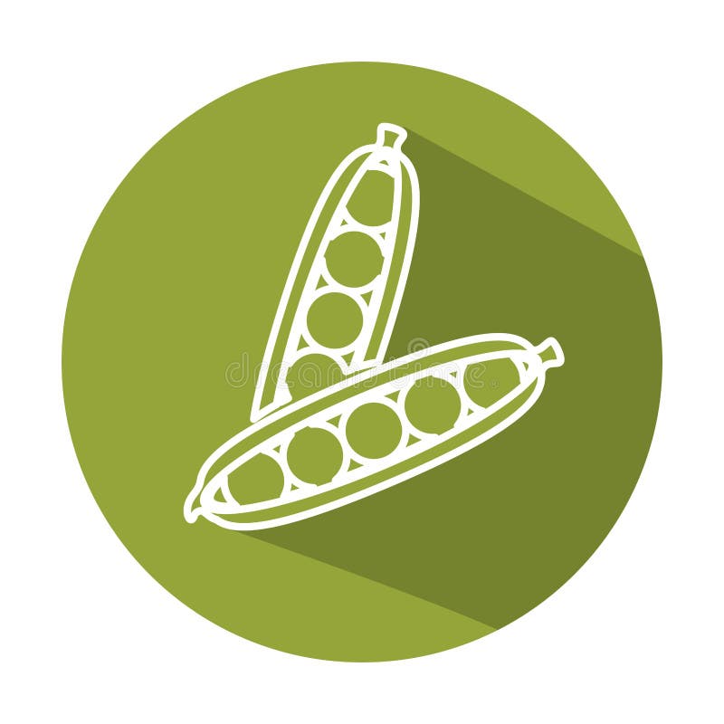 Beans vegetable fresh icon stock illustration. Illustration of fresh ...