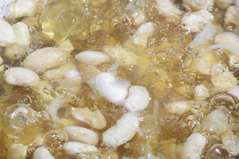 Beans in Water stock image. Image of harvest, health - 45213427