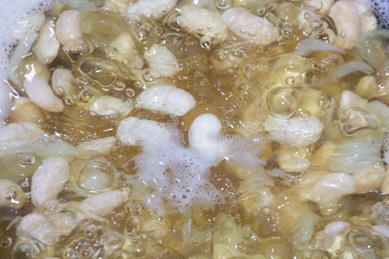 Beans in Water stock image. Image of nature, harvest - 45213451