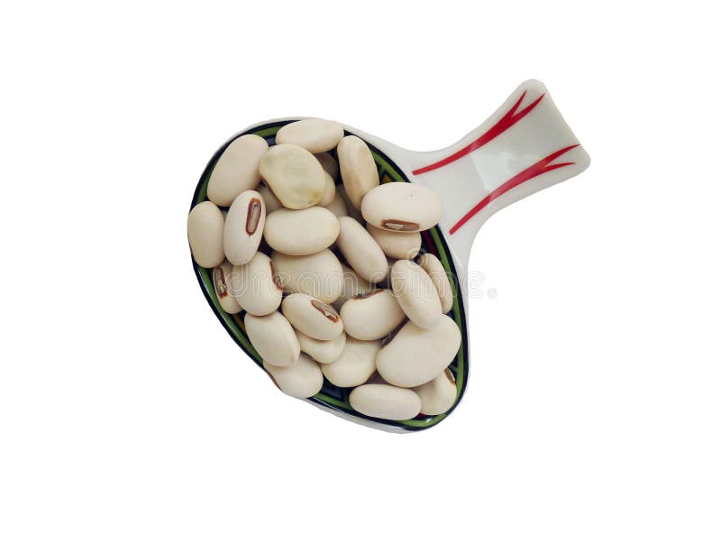 Beans white stock image. Image of satisfying, beans - 103129193