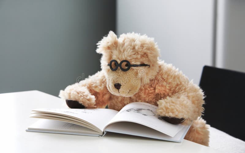 3,154 Bear Study Stock Photos - Free & Royalty-Free Stock Photos from ...