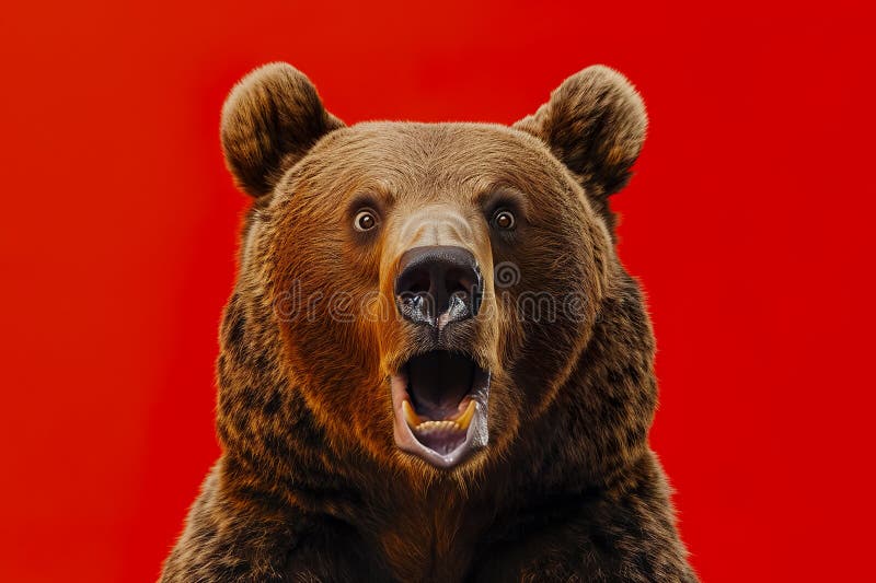 A Bear with Blood on Its Face is Staring at the Camera Stock Image ...