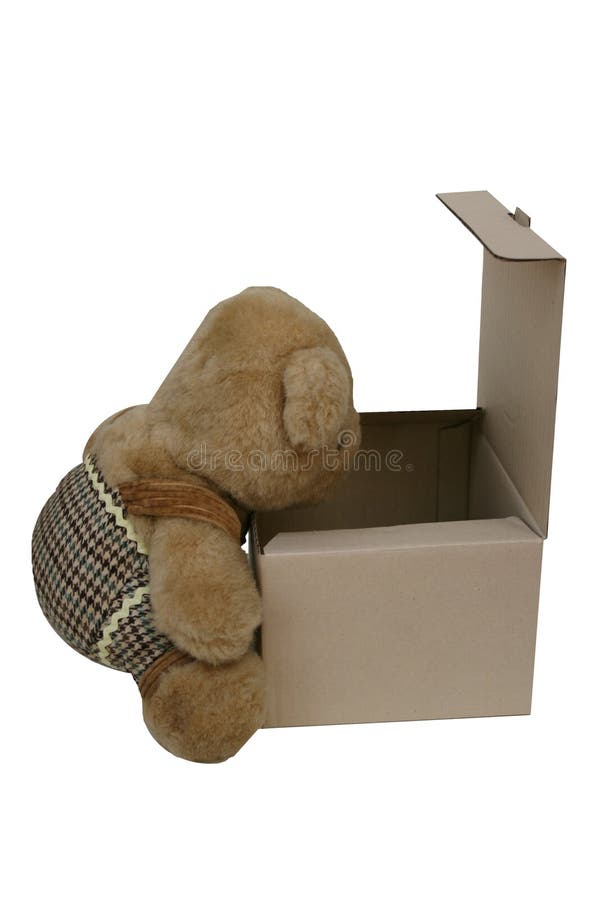 Bear in box stock image. Image of finding, paper, teddy - 87426469
