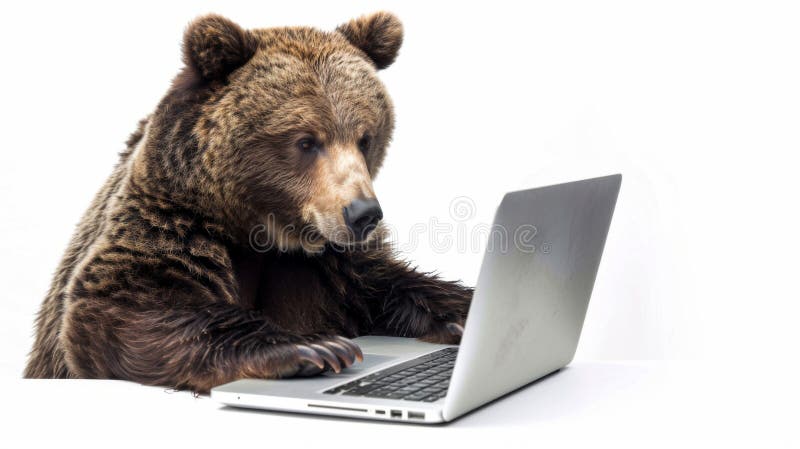 Bear in Business Suit Typing on Laptop Computer with Concentrated ...