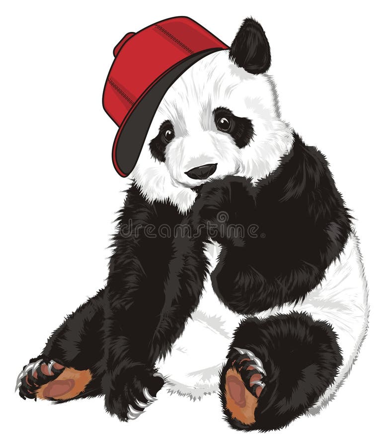 Red Panda Cap Stock Illustrations – 149 Red Panda Cap Stock ...