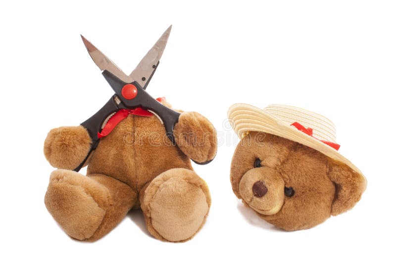 Bear cut head of stock photo. Image of depressed, entertaining - 49170784