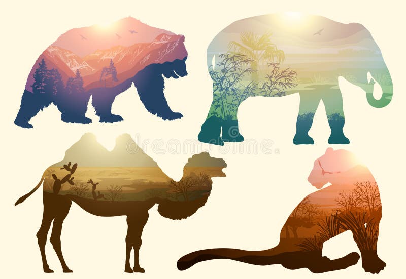 Bear, Elephant, Camel and Leopard, Wildlife Stock Vector - Illustration ...
