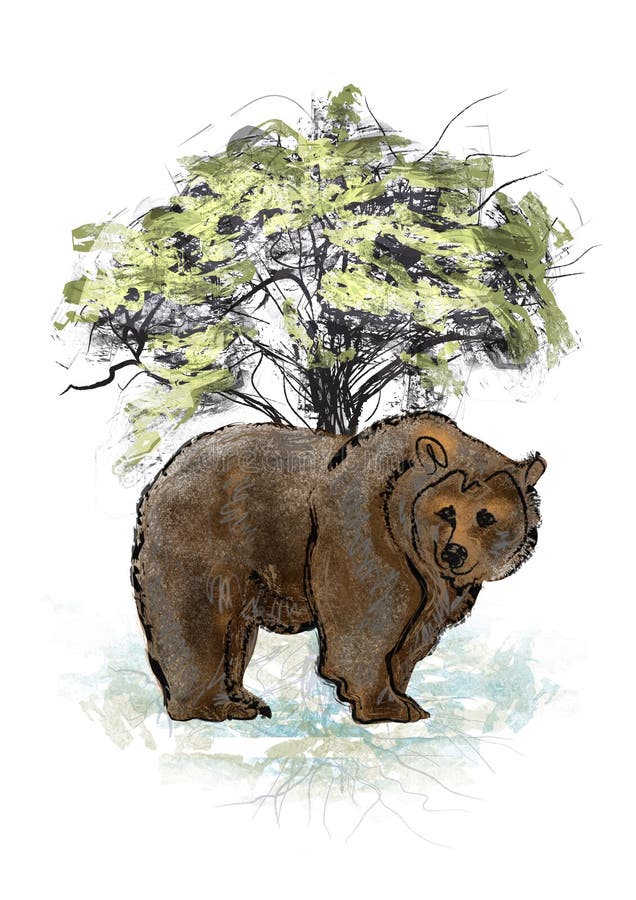 Bear stock illustration. Illustration of bear, forest - 90277410