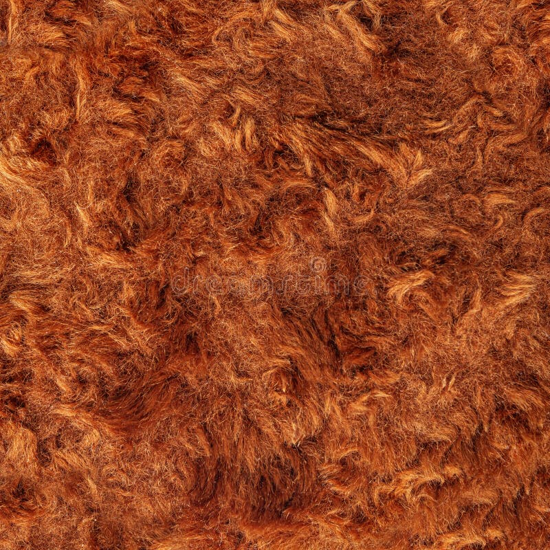 11,745 Bear Texture Stock Photos - Free & Royalty-Free Stock Photos ...