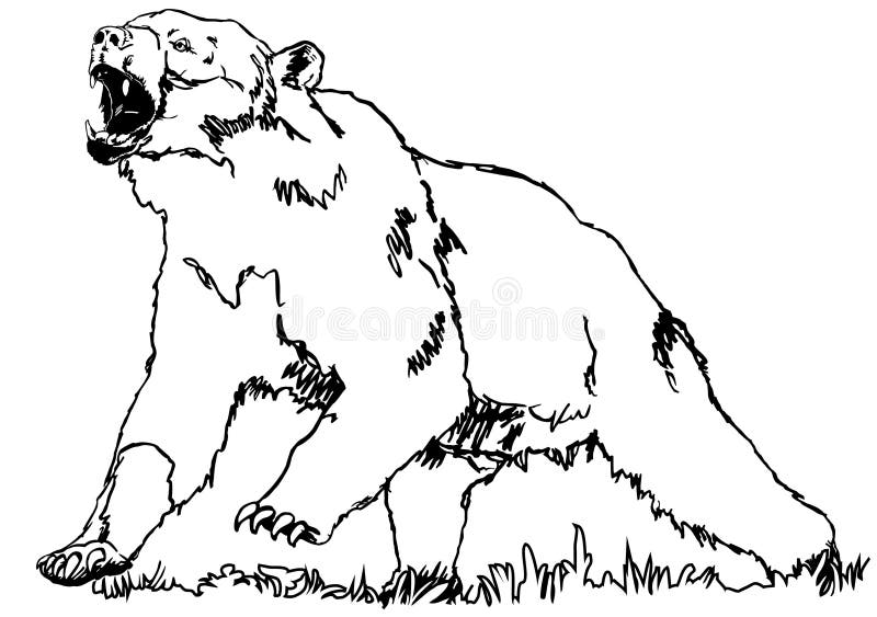 Grizzly Bear Clip Art Stock Illustrations – 1,501 Grizzly Bear Clip Art ...