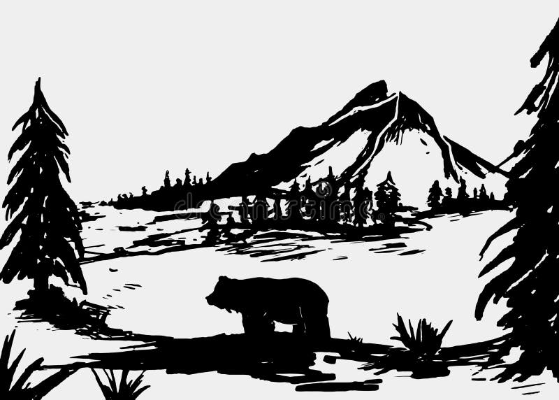 Bear Illustration. Mountain Bear and Forest Illustration Vector Stock ...