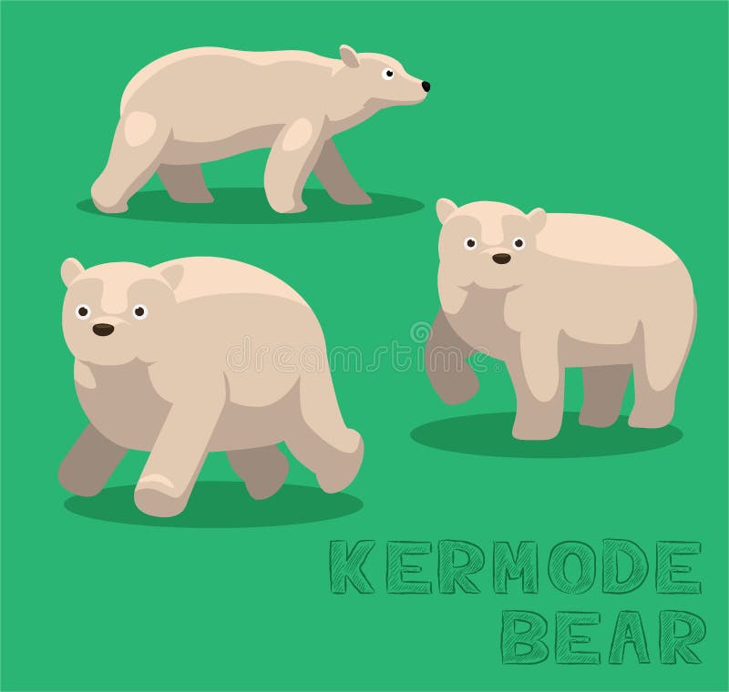 Bear Kermode Bear Cartoon Vector Illustration Stock Vector ...