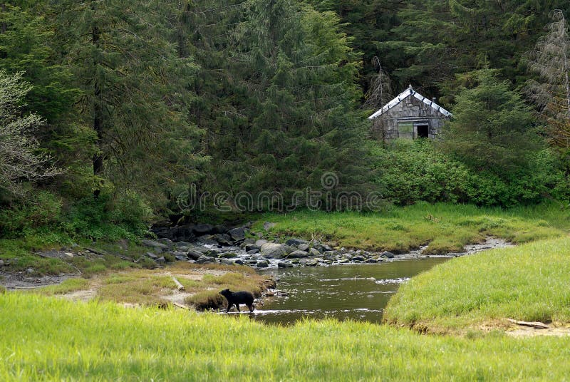 Ketchikan Alaska Cruise Ship Stop Inside Passage Stock Photo - Image of ...