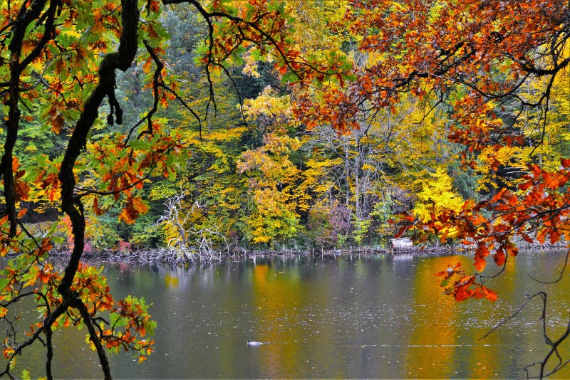 Bear Lake in the Autumn in Sovata, Romania Stock Image - Image of park ...