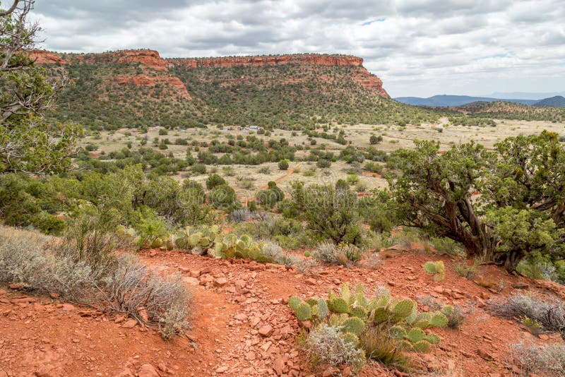 Bear Mountain-Spur Sedona Arizona Stockbild - Bild von felsen, blumen ...
